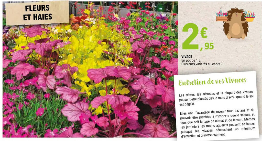 VIVACE En pot de 1 L Plusieurs variétés au choix.(¹)