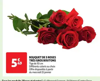 Promotion Exclusives de 7 Bouquet de roses : Découvrez l'Offre ...